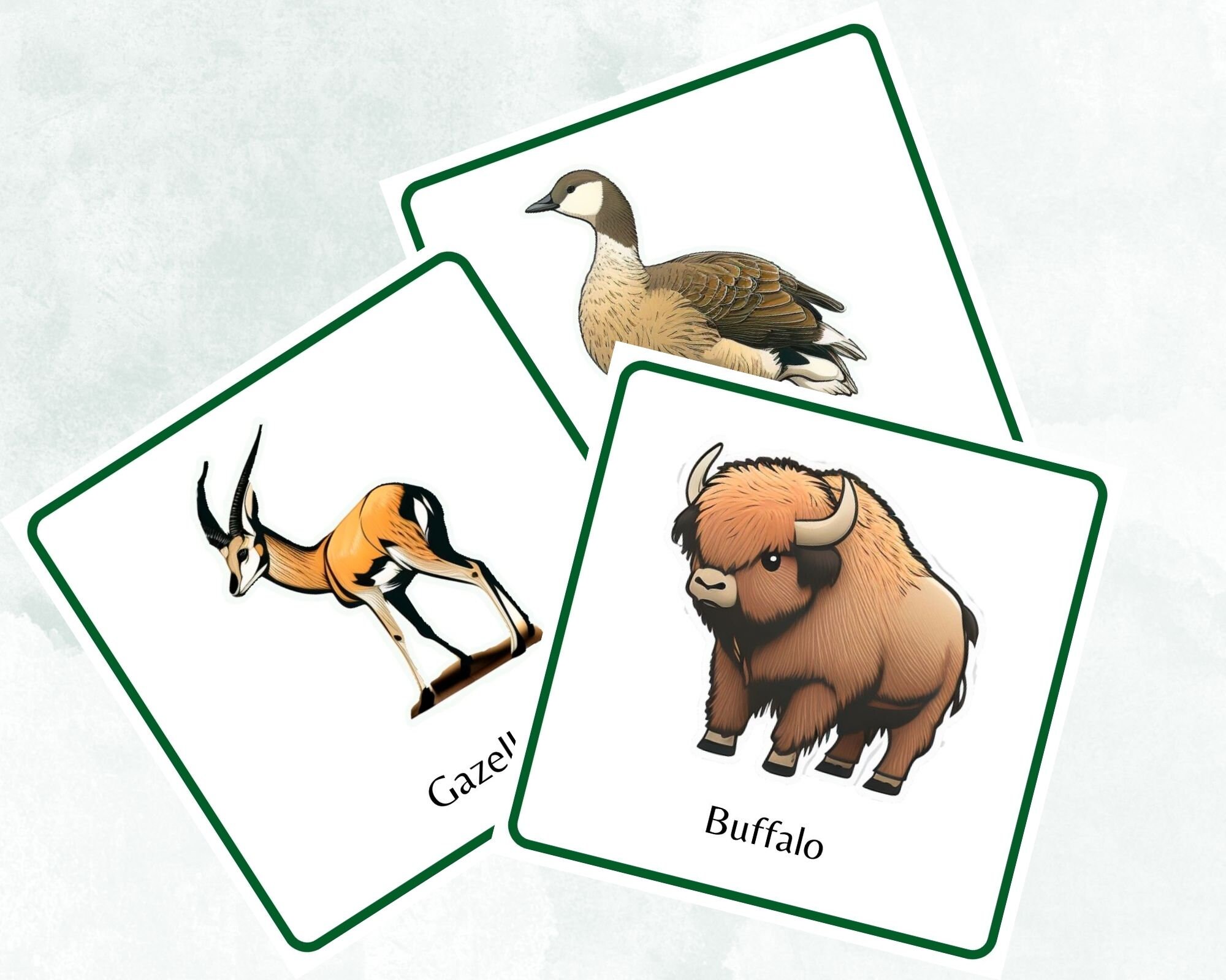 COMPLETE PACK CARDS of Animal in English and Spanish - Etsy