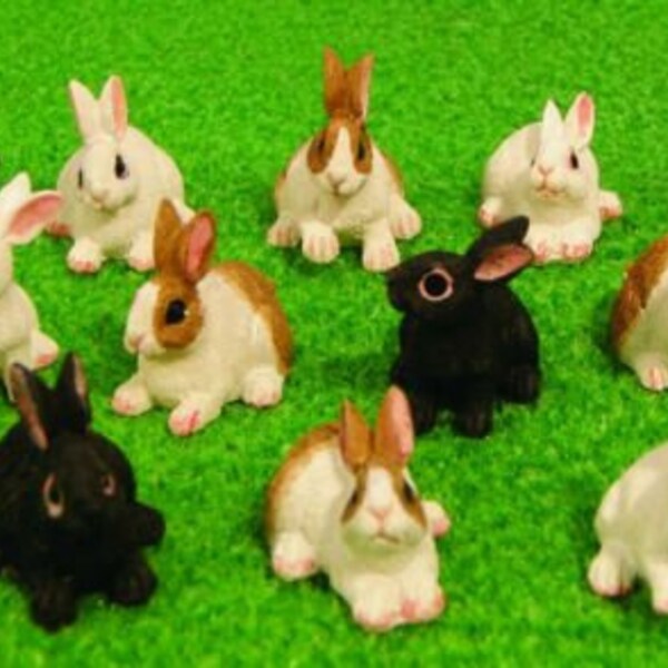 Miniature Rabbits - Etsy