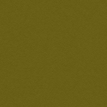 Sage Green Carpet - Etsy UK