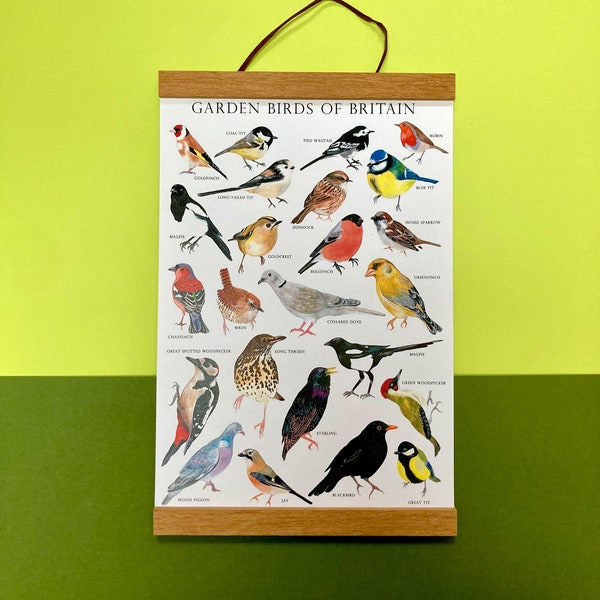 British Birds Poster - Etsy UK