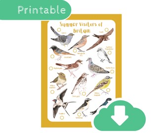 Garden Birds Identification Tick Sheet Bird Spotting - Etsy