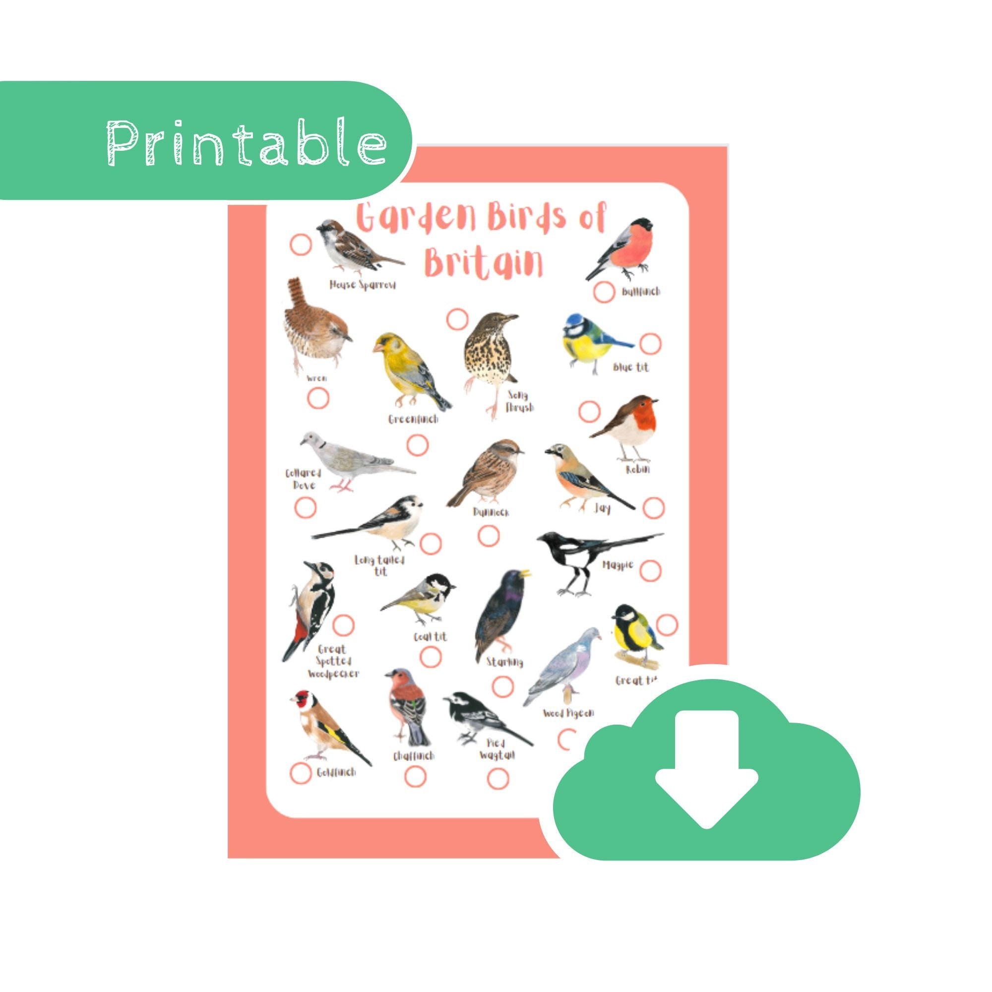 Garden Birds Identification Tick Sheet - Bird Spotting Wildlife ...