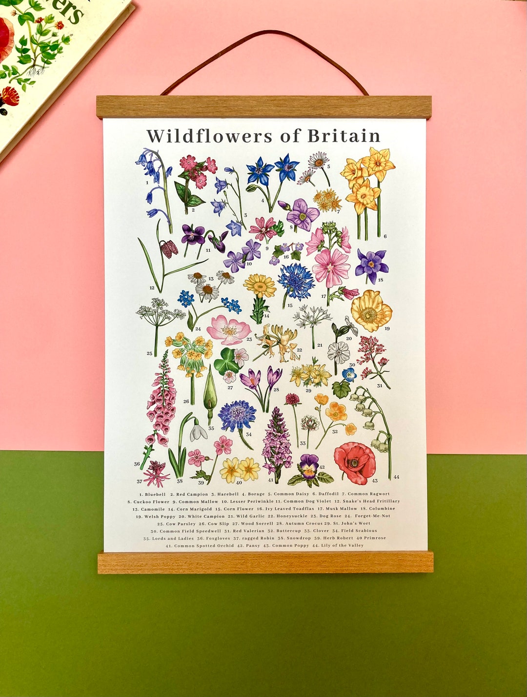 Wildflowers of Britain Art Print A3 Botanical Identification Poster ...