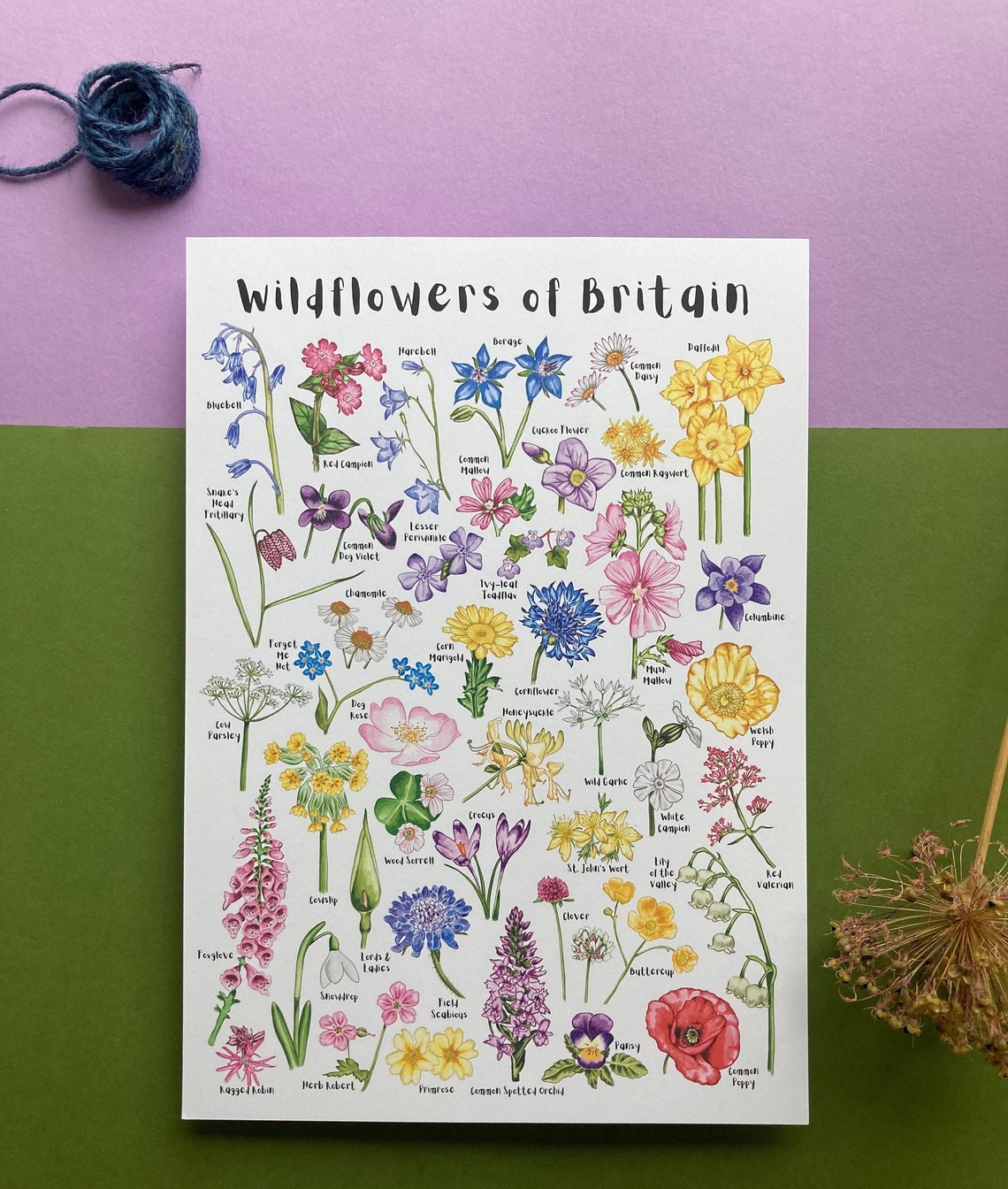 Wildflowers of Britain Art Print - A4 Botanical Wildflower Poster - Etsy UK