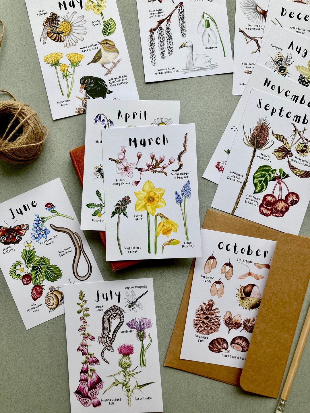 Nature Wildlife Postcard Set - 12 Months of Year - Mini Art Prints ...