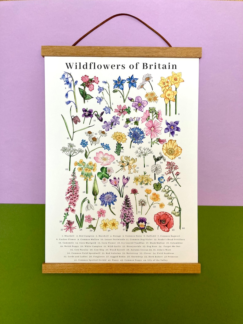 Wildflowers of Britain Art Print - A3 Botanical Identification Poster ...