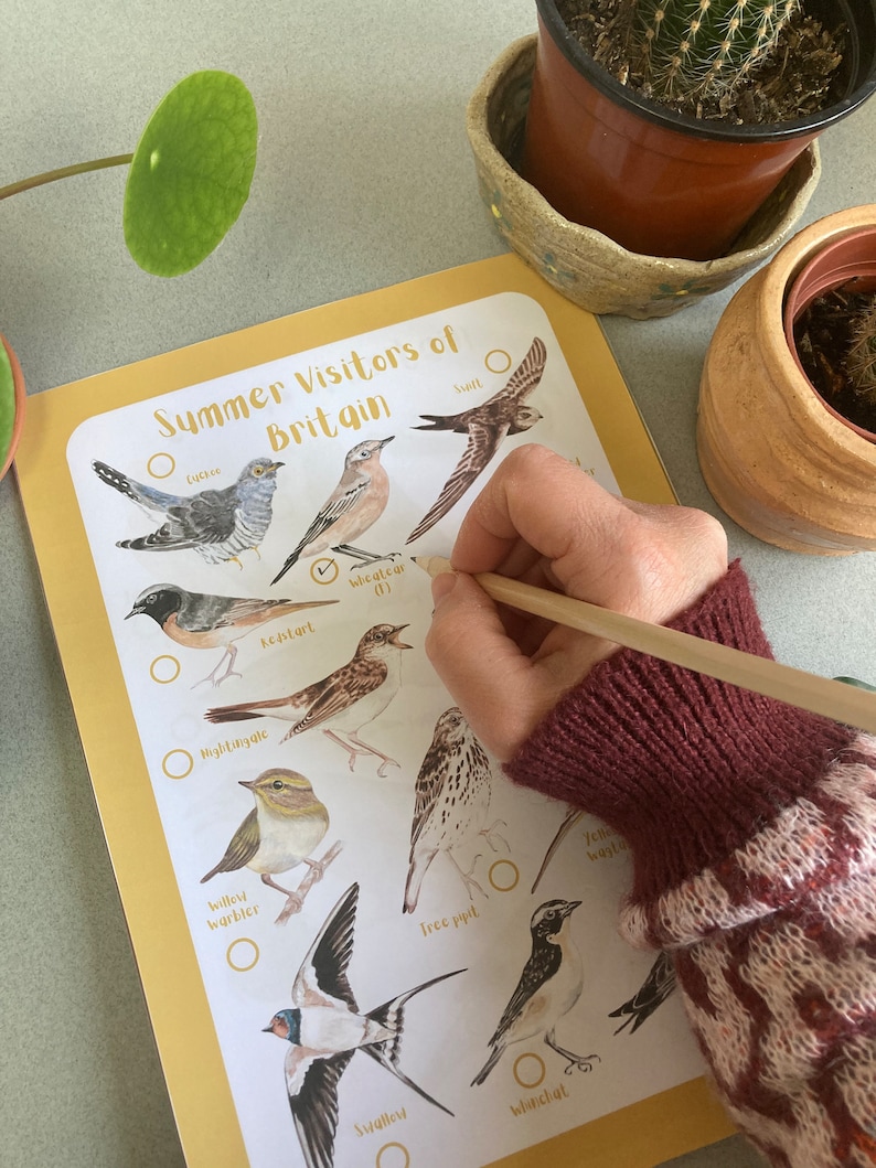 Bird Watching Identification Tick List Sheets Printable A4 - Etsy