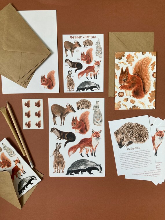 Woodland Animals Stationery Set Letter Box Gift Postcard - Etsy UK