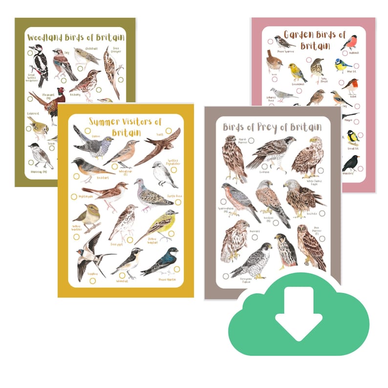 Bird Watching Identification Tick List Sheets - Printable A4 Instant ...