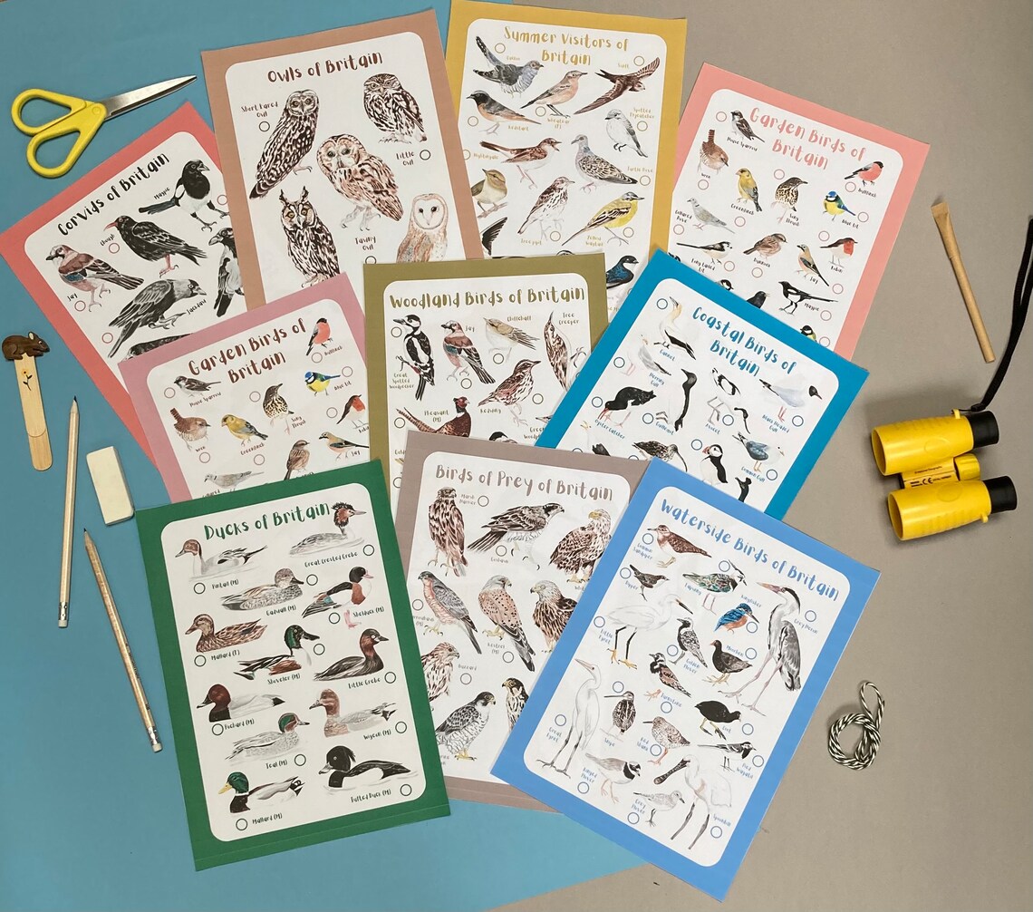 Bird Watching Identification Tick List Sheets Printable A4 - Etsy