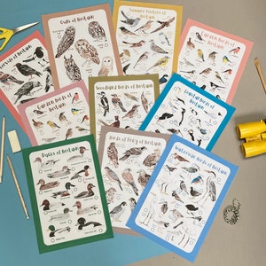 Bird Watching Identification Tick List Sheets - Printable A4 Instant ...