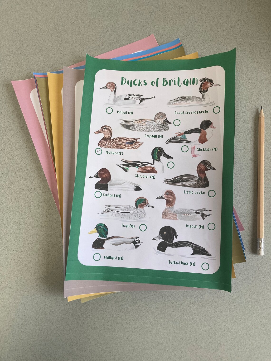 Bird Watching Identification Tick List Sheets Printable A4 - Etsy