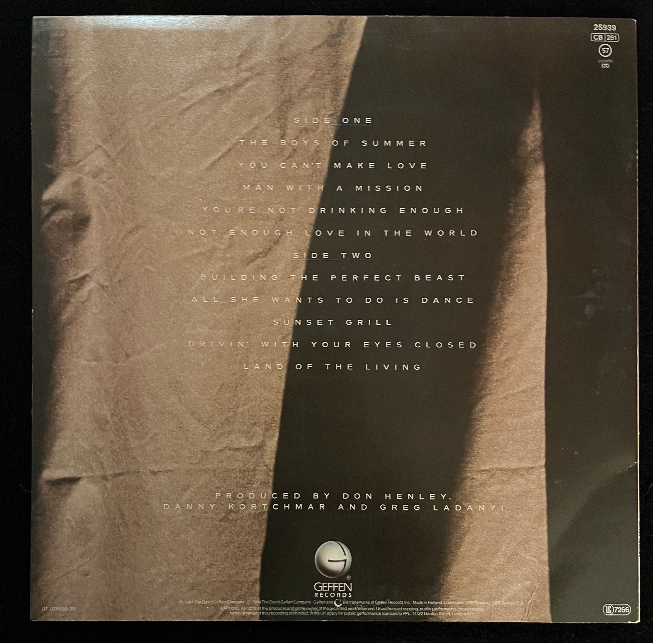 Don Henley Building the Perfect Beast Vintage Vinyle Record Album 1984 ...