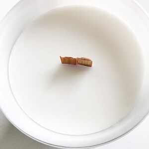 100% SOY CANDLE | Snips (13 Oz) | Wild Orange + Hinoki Wood - Etsy