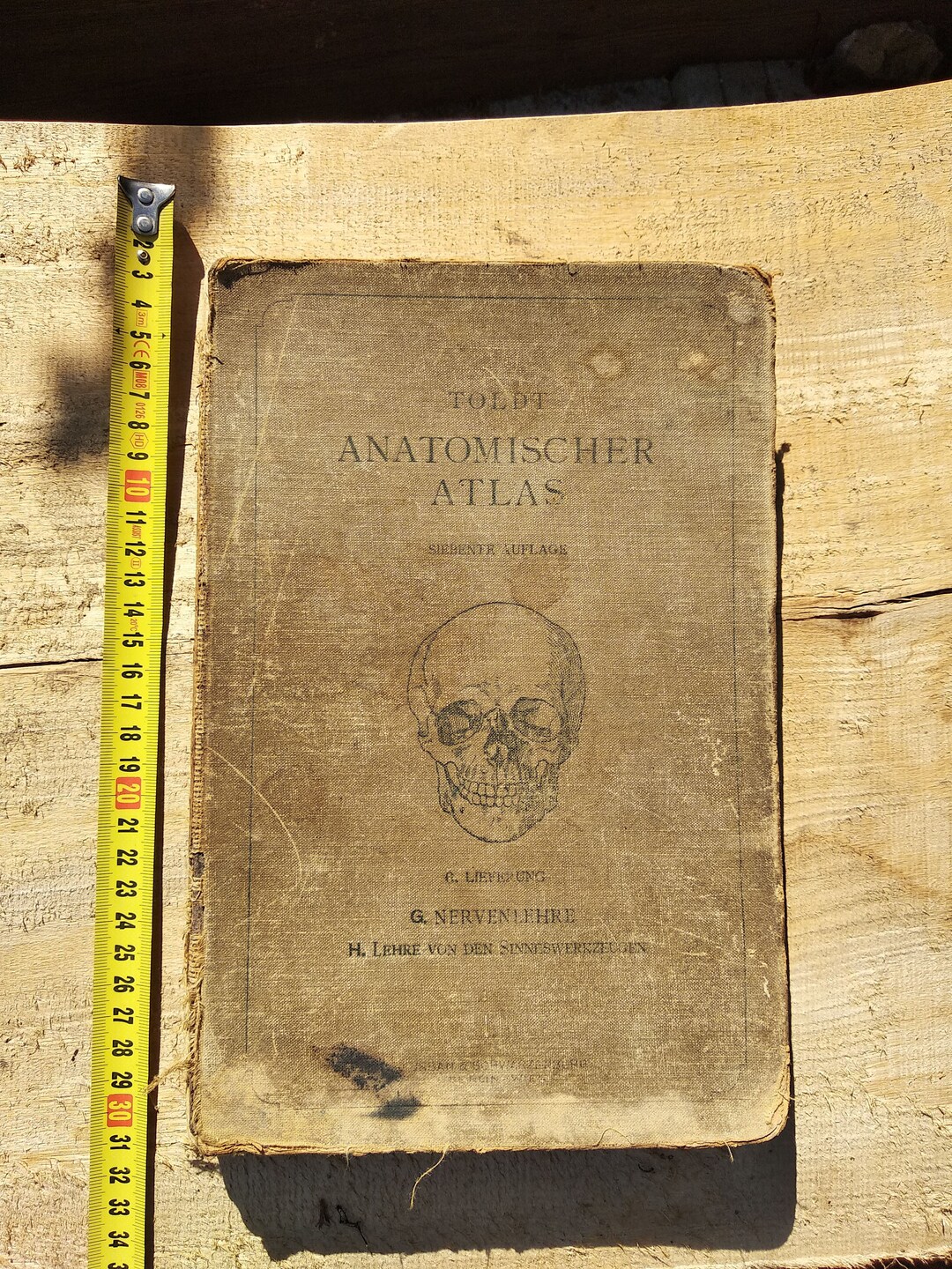 Anatomischer Atlas 1911: Explore the Exquisite Illustrations of Dr ...