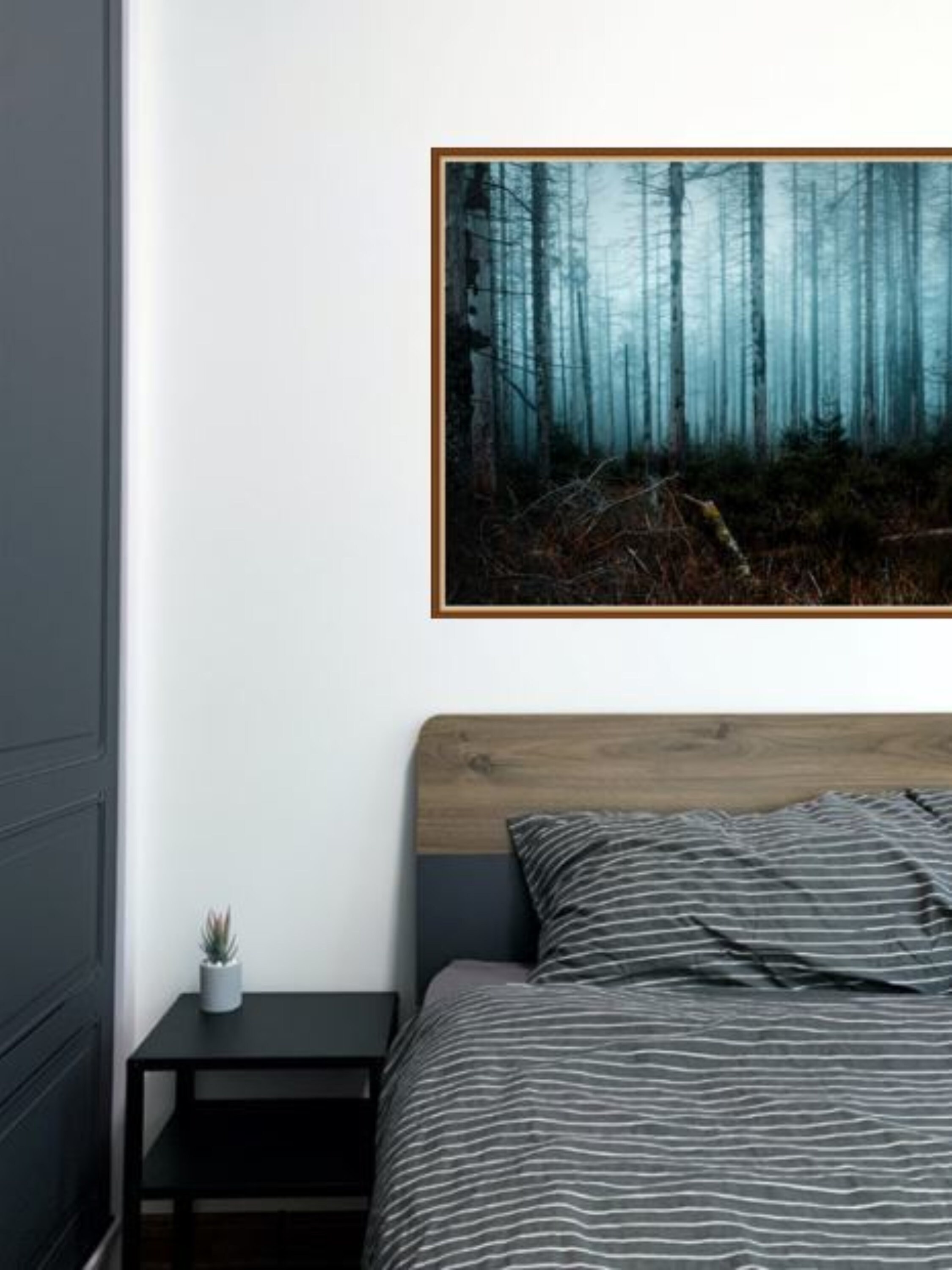 Dark Forest Print, Forest Art, Nature Print, Landscape Photograph, Tree ...