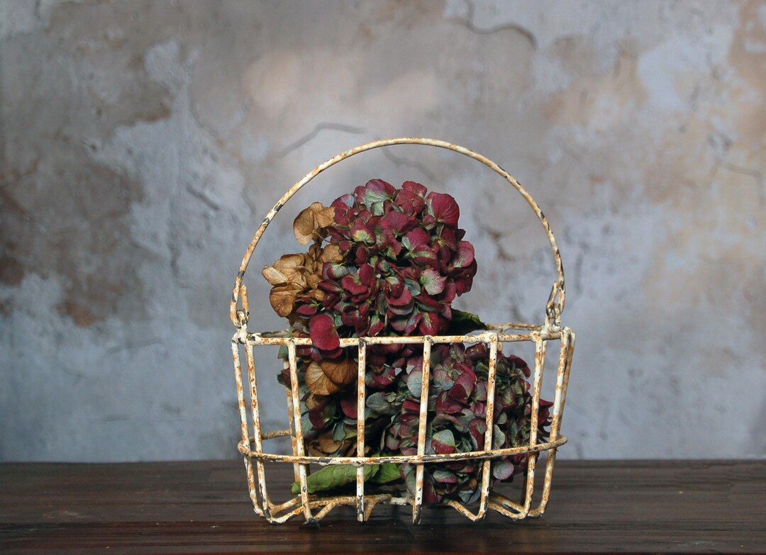 Small Metal Basket / Metal Clam Basket / Vintage Chippy Metal Egg ...