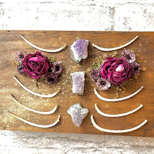 Raccoon Rib Bones, Wall Art, Witchy Gifts for Women, Vulture Culture ...