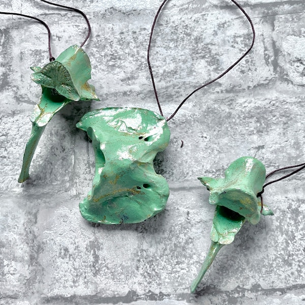 Painted Bones - Etsy