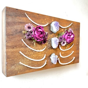 Raccoon Rib Bones, Wall Art, Witchy Gifts for Women, Vulture Culture ...