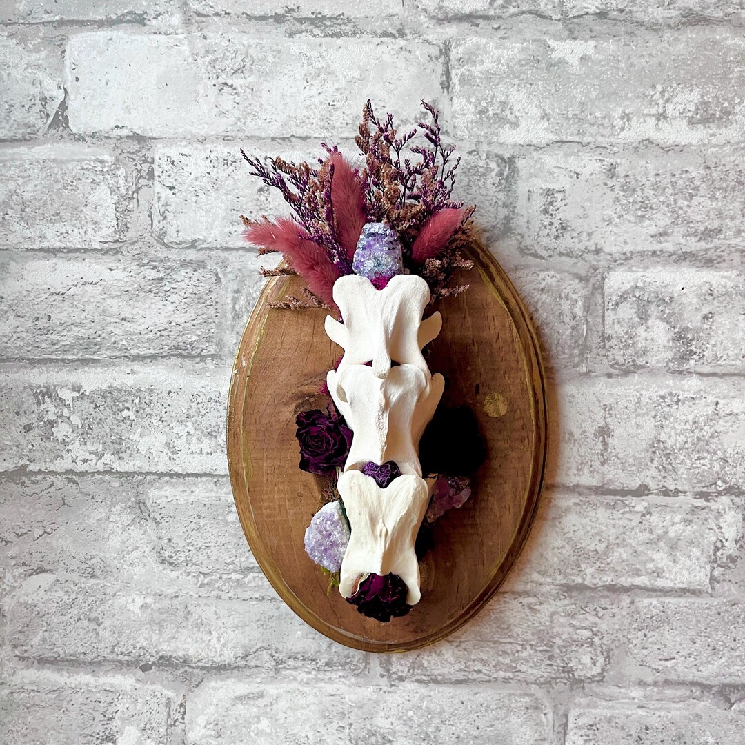 Deer Vertebrae, Bone Wall Hanging, Bone Vase, Witchy Gifts for Her ...