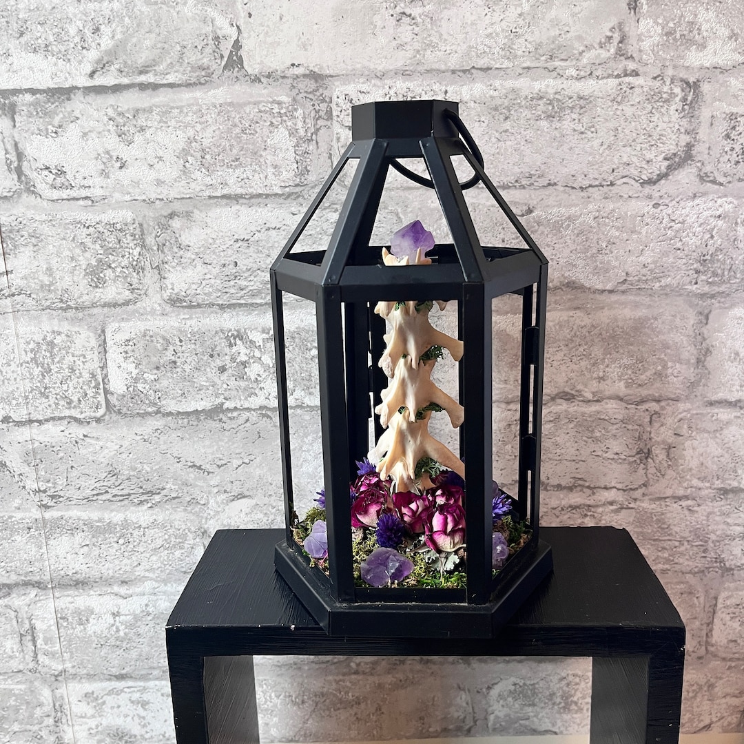 Coyote Vertebrae, Bone Lantern, Bone Art, Witchy Gifts for Her, Bone ...