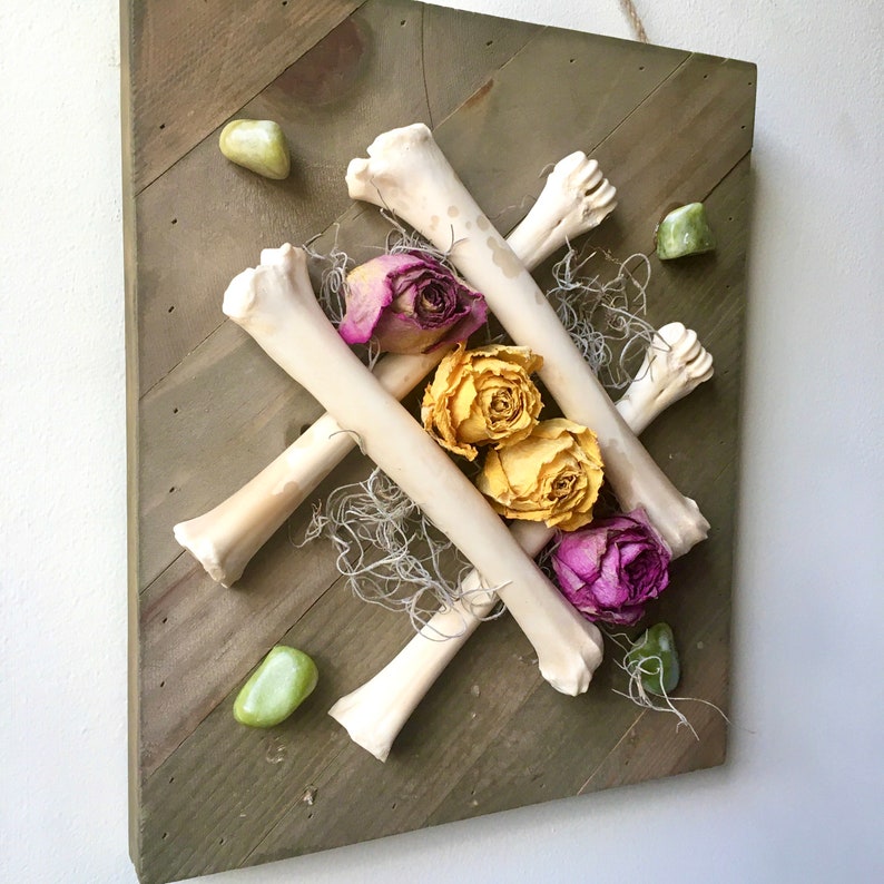 Deer Bone Wall Art Bone Art Witchy Gifts for Her Vulture - Etsy