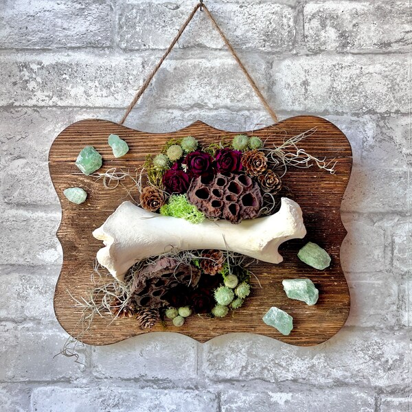 Animal Bones - Etsy