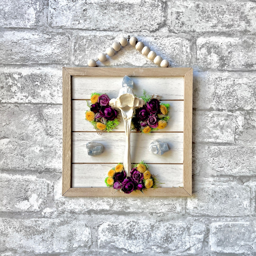 Sheep Vertebrae Bone Wall Art, Cottagecore Gift for Birthday, Natural ...