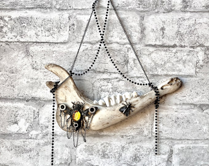 Goat Jawbone, Wall Art, Bone Art, Goth Witchy Gift for Her, Gothcore ...