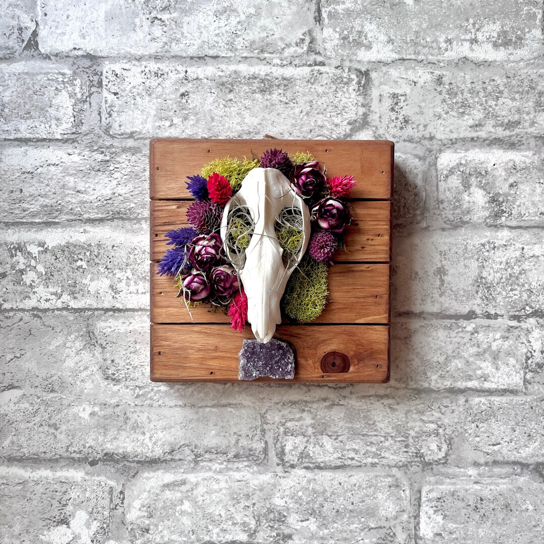 Possum Skull, Real Bone Art, Witchy Gift for Her, Real Skull Art for ...