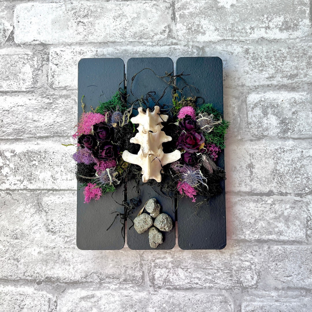 Goat Bones, Vertebrae Art, Goth Bone Art, Witchy Gift for Best Friend ...