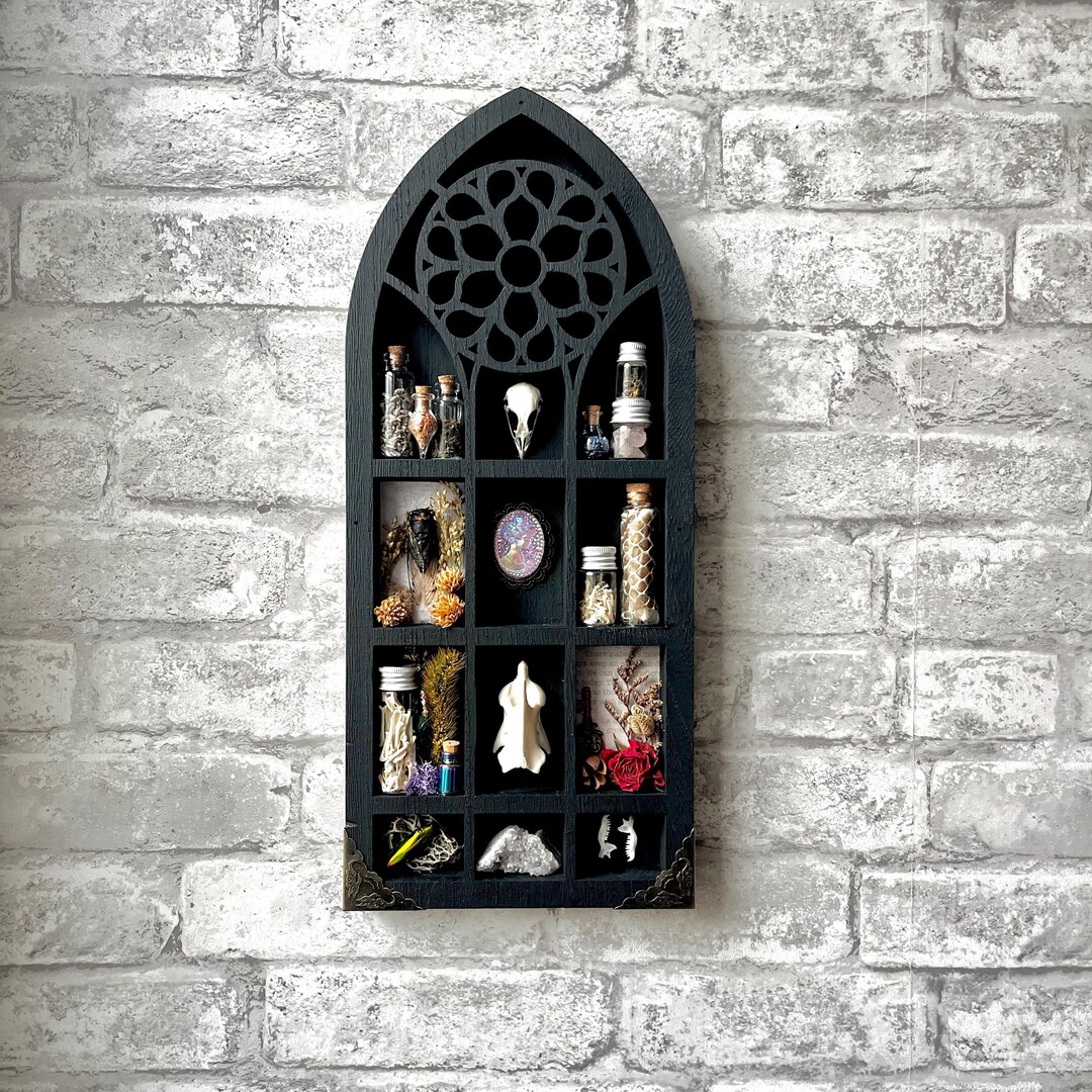 Oddity Shadowbox, Hanging Curiosity Cabinet, Oddity Specimens, Witchy ...