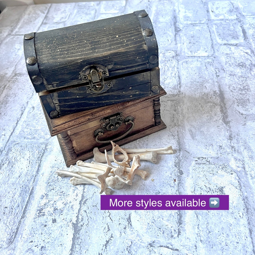 Bone Box, Box of Bones, Ethically Sourced Bones, Bone Throwing Set ...