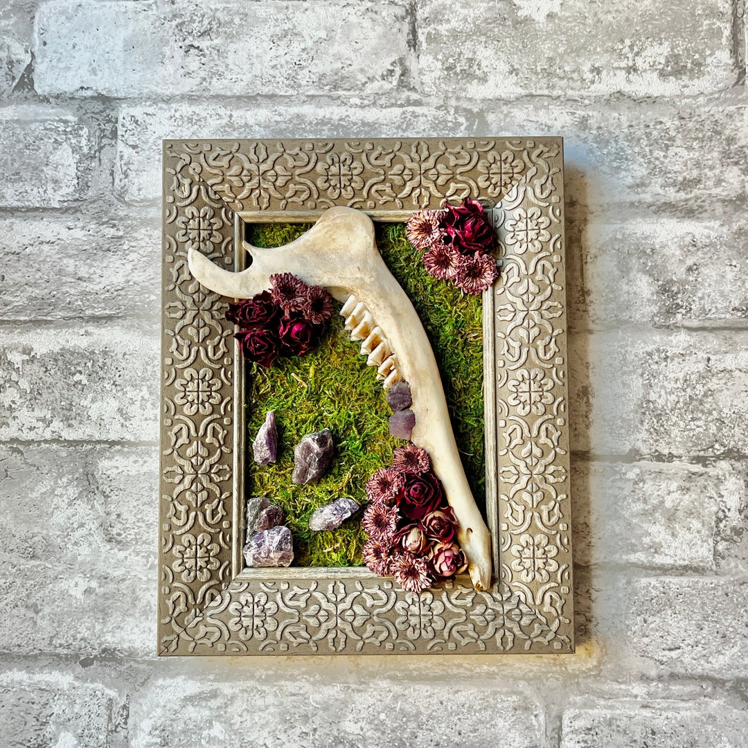 Deer Jawbone, Bone Art, Witchy Gifts for Her, Vulture Culture Art ...