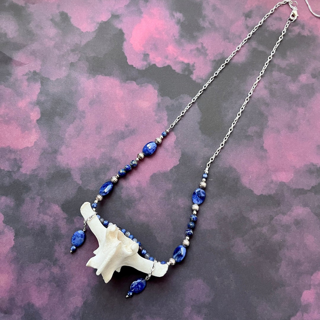 Goat Bone Jewelry, Vertebrae Necklace, Sodalite Stone Necklace, Oddity ...