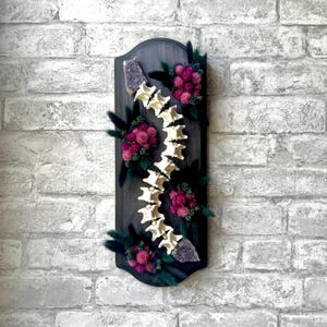 Snake Vertebrae, Python Vertebrae, Serpent Bone Art, Gothic Forest ...