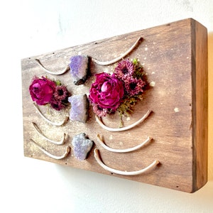 Raccoon Rib Bones, Wall Art, Witchy Gifts for Women, Vulture Culture ...