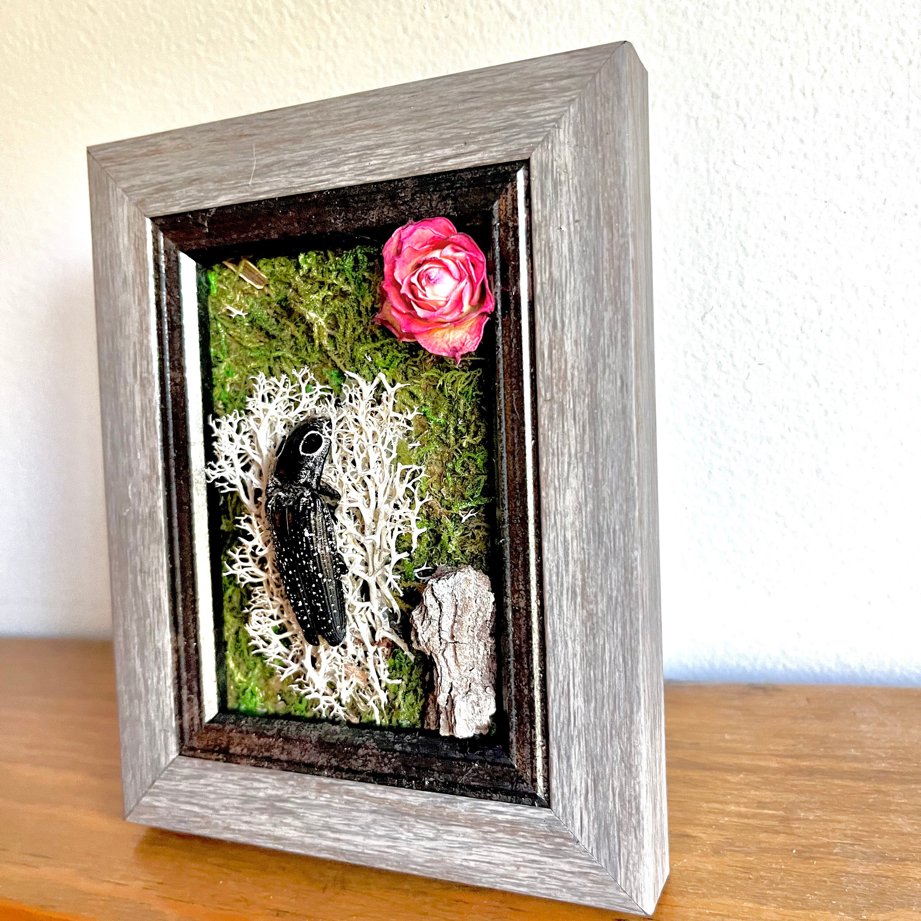 Bug Art Insect Wall Art Entomology Art Witchy Gift for Her - Etsy