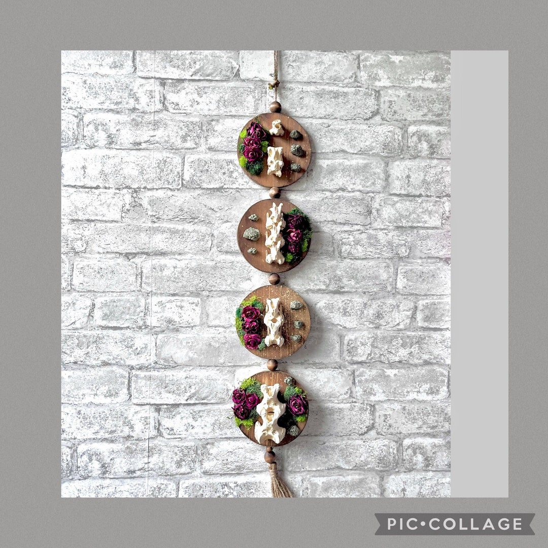 Emu Vertebrae, Real Bone Art, Witchy Gifts for Her, Vulture Culture Art ...