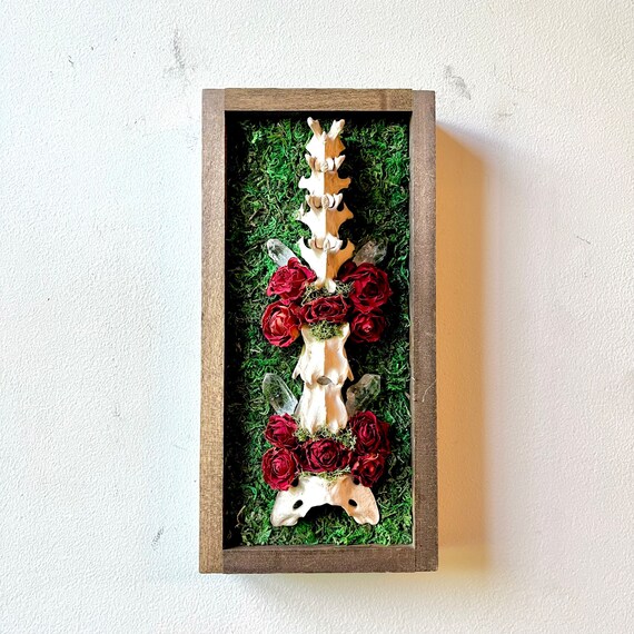 Coyote Bones Bone Wall Art Witchy Gifts for Her Vulture - Etsy