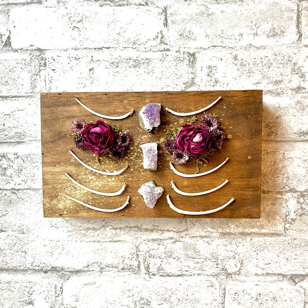 Raccoon Rib Bones, Wall Art, Witchy Gifts for Women, Vulture Culture ...