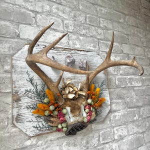 Deer Skullcap With Antlers, Boho Wall Hanging, Cozy Cottagecore Decor ...