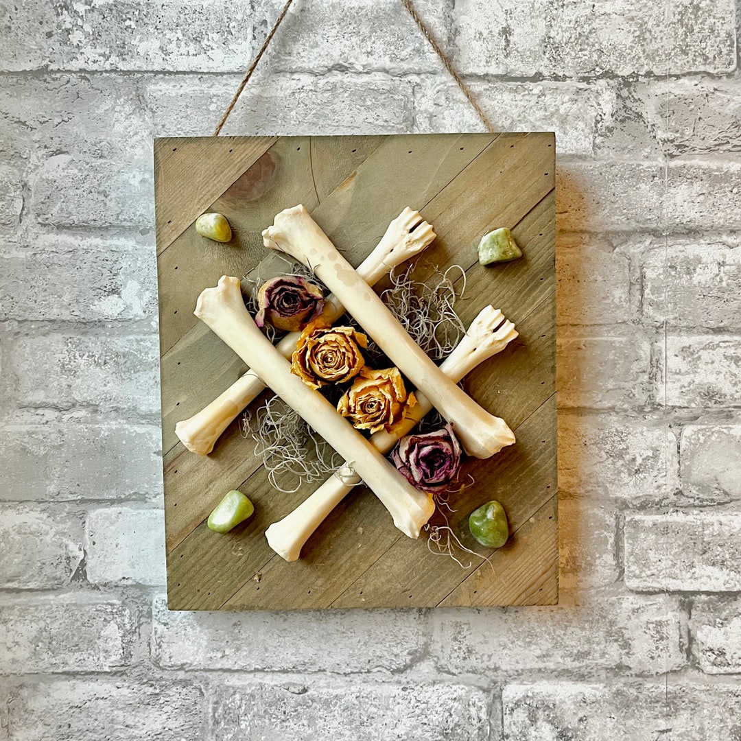 Deer Bone Wall Art, Bone Art, Witchy Gifts for Her, Vulture Culture ...