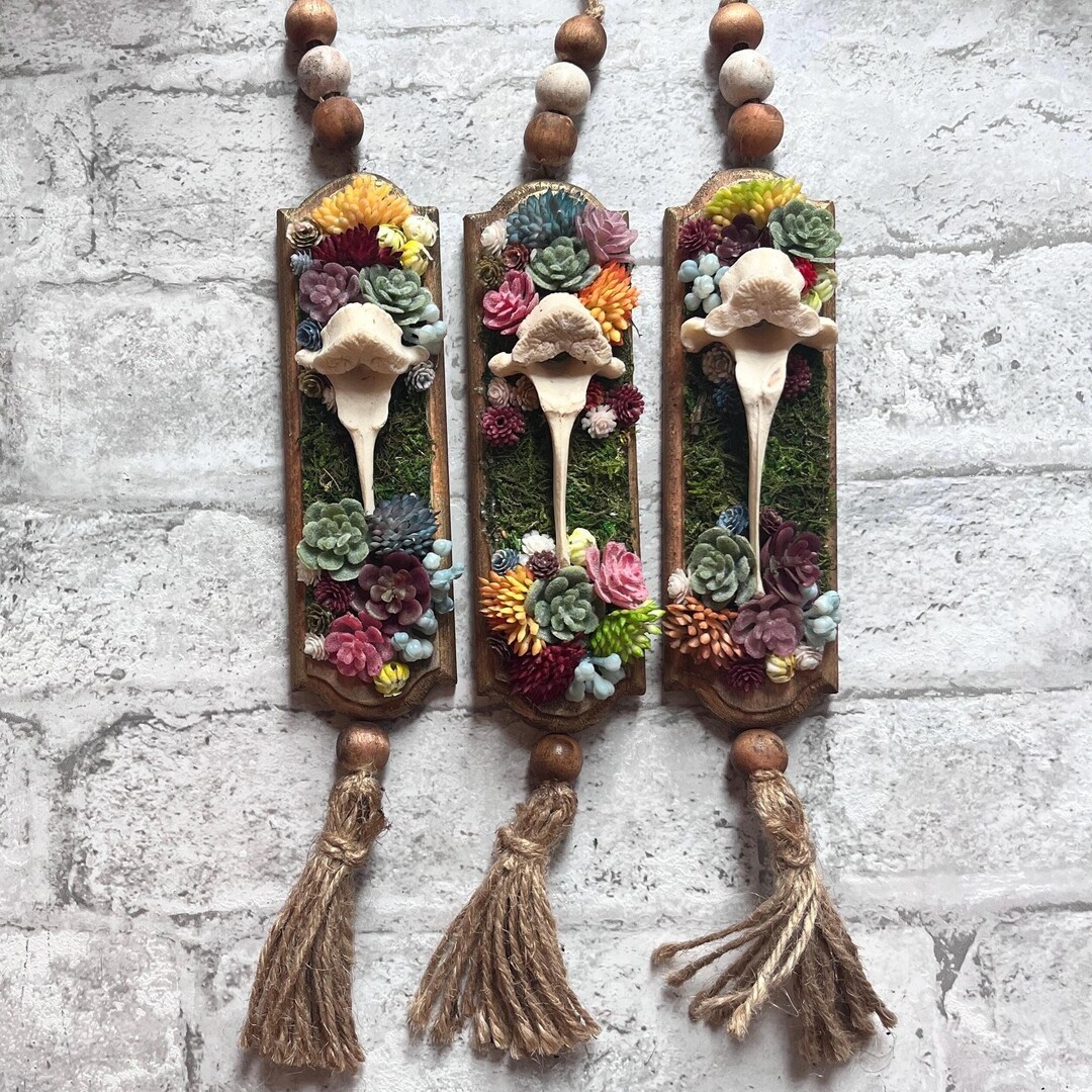 Goat Vertebrae, Bone Wall Art, Witchy Gifts for Her, Bone Gifts for New ...