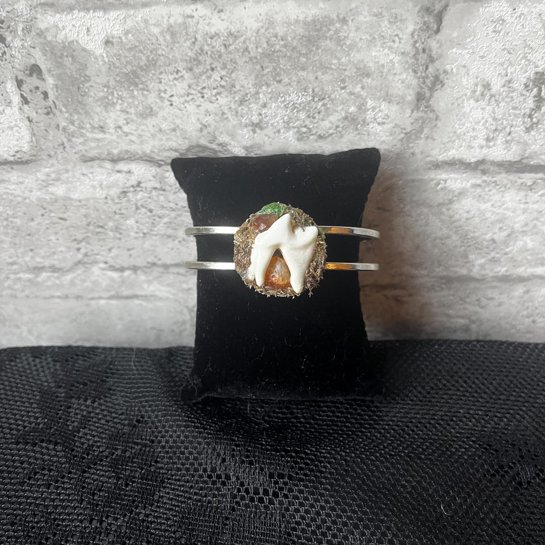 Coyote Tooth, Tooth Bracelet, Macabre Jewelry, Witchy Bangle, Bone Art ...