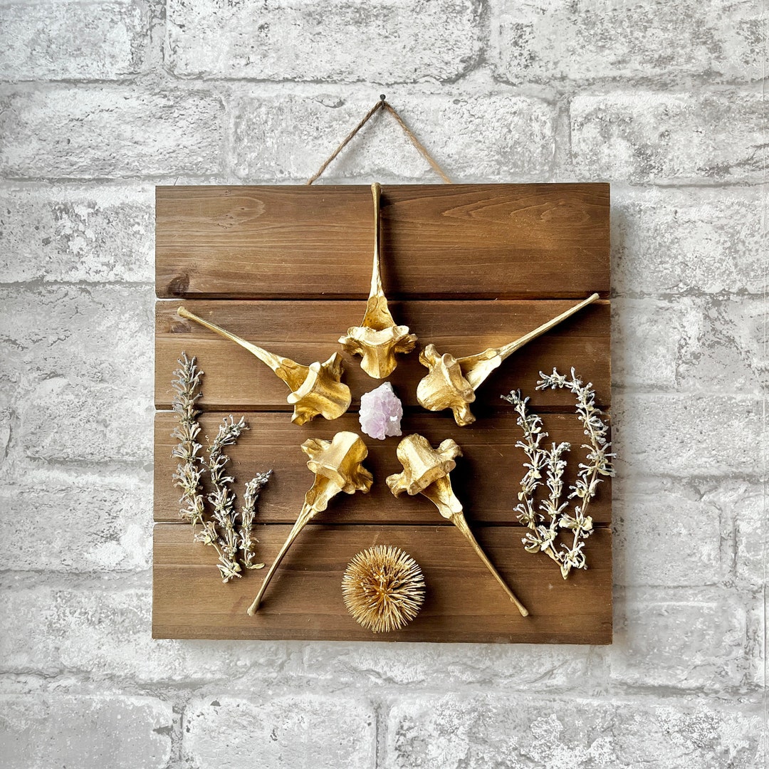 Deer Vertebrae Bone Wall Art Witchy Gifts for Her Vulture - Etsy