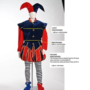 Jester Handmade Costume, Fantasy Clown Outfit for Halloween, Adult ...