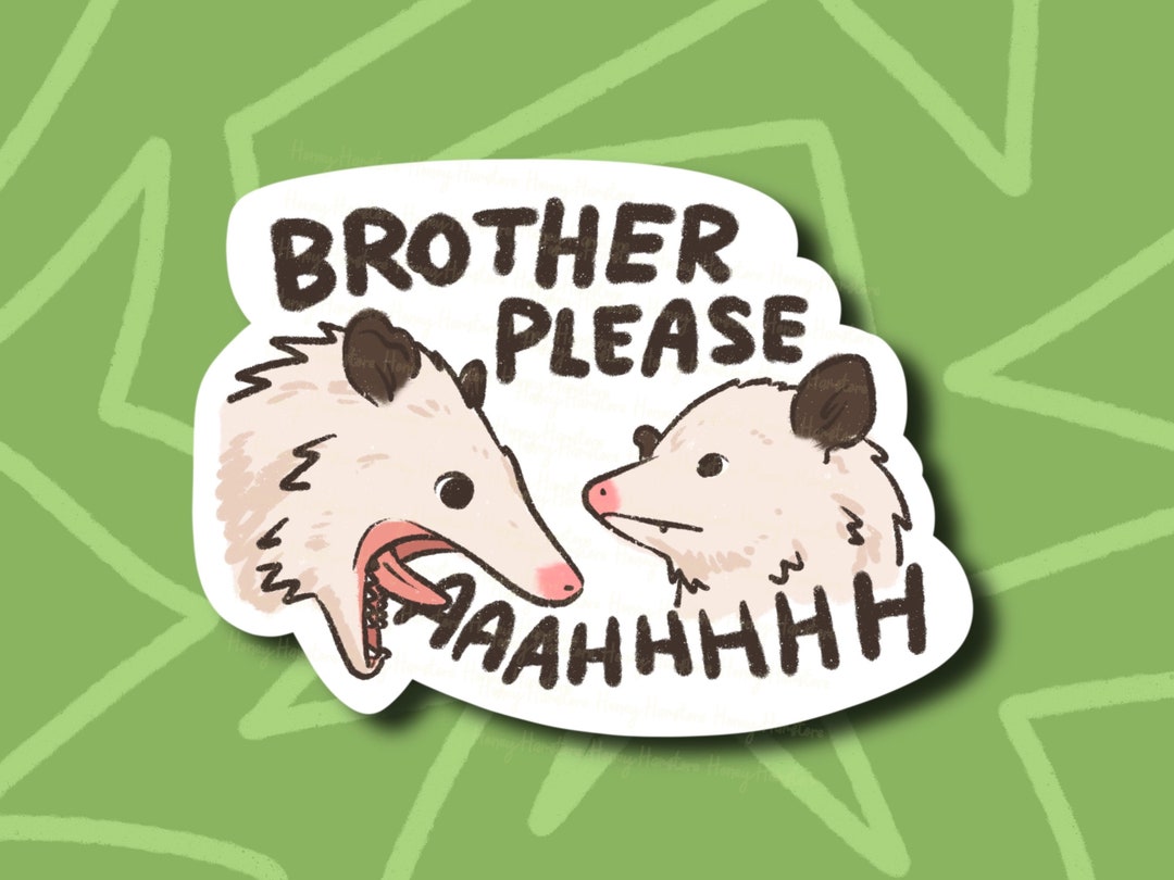 Brother Please Sticker | Funny Sticker | Gifts Under 10 | Water ...
