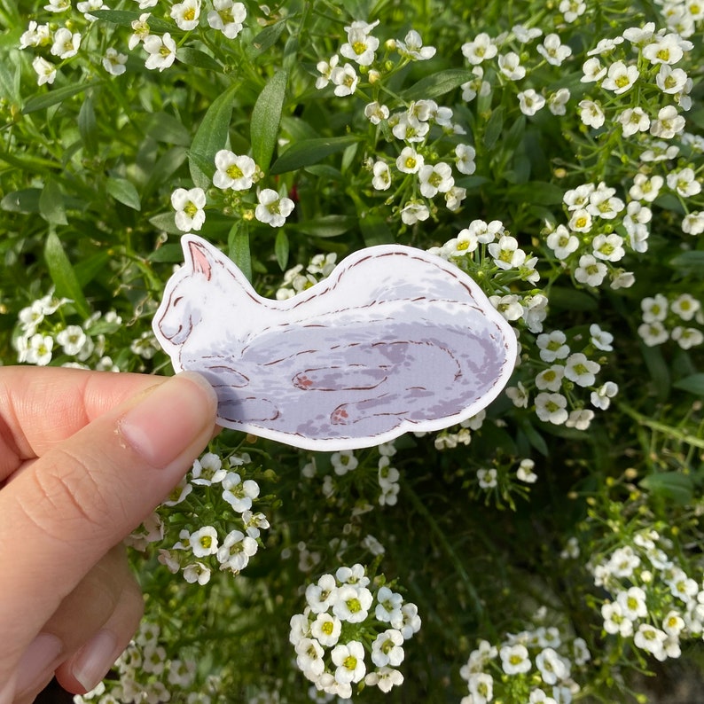 Hover Cat Meme Funny Cute Sticker Cat Kitten Decal Water - Etsy